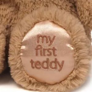 Gund | Toys | Nwt Baby Gund My First Teddy Plush | Poshmark
